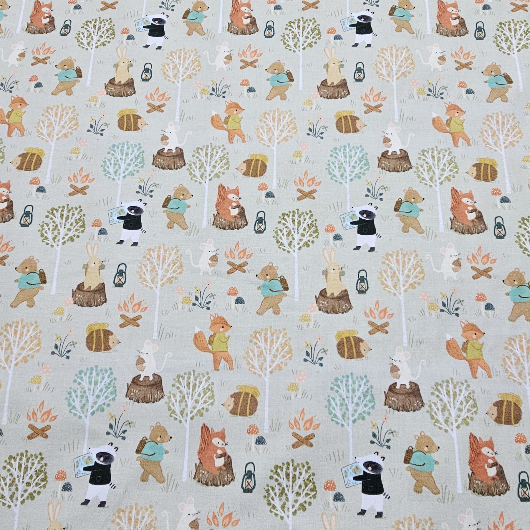 Dashwood Studio - Cedar Camp by Ramble & Bramble - D001 - The Craft Outlet Store